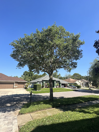 Home - AllPro Tree & Landscaping