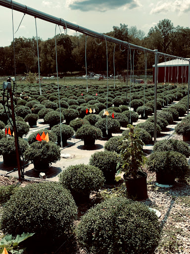 Triple A Farm - AZexplained