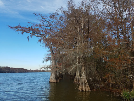 Spring Bayou State Wildlife Management Area - AZexplained