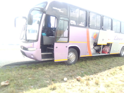 EAGLE LINER in Newtown, Johannesburg, - Zaubee