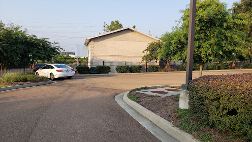 Mississippi Sports Medicine & Orthopaedic Center - AZexplained