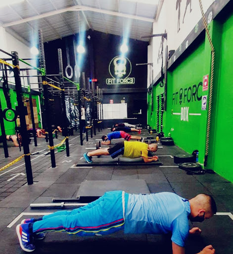 FITFORCE BOX CLARET en Bogotá