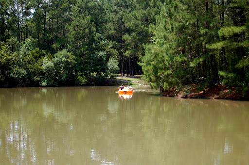 Park «North Charleston Wannamaker County Park», reviews and photos ...