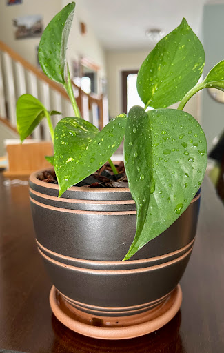 Brett Monahan Pottery in Northeast Minneapolis, Minneapolis, Minnesota ...