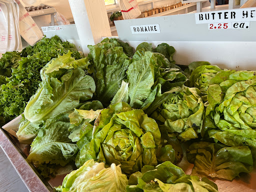 Delano Community Farm Market in Delano, Tennessee - Zaubee