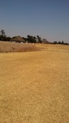 Golf Course View Office Park in the city Delmas