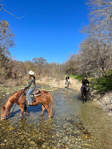 Lone Star Ranch | Ride The Horse