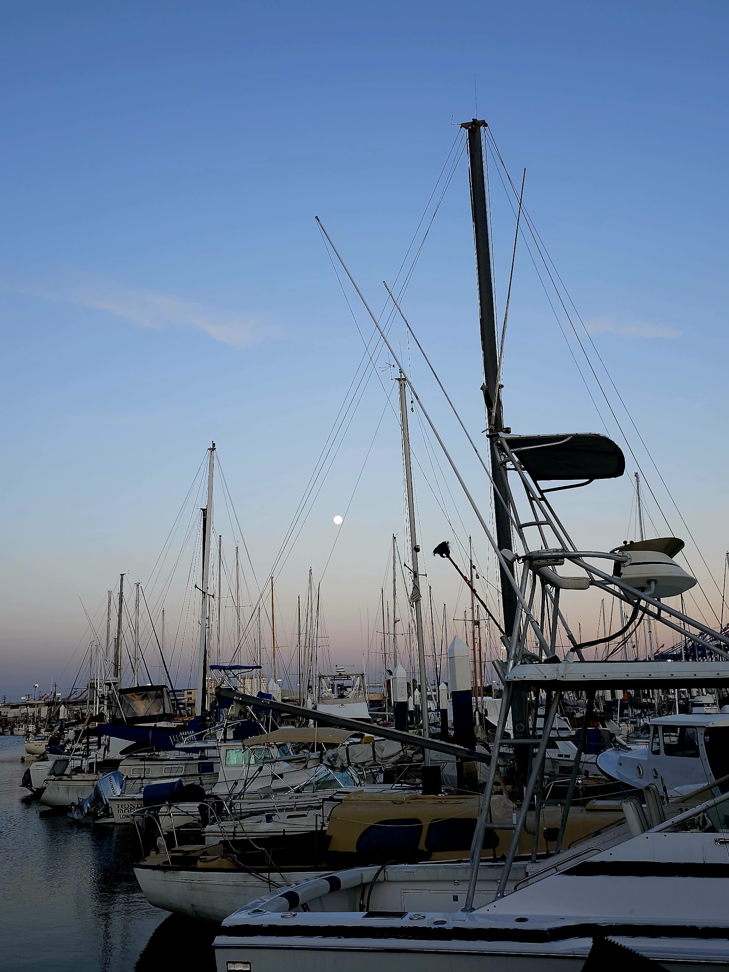 Al Larson Boat Shop - reviews,open hours,photo spots,things to do ...