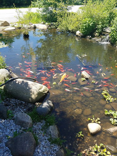 Pet Store «Zoo Creatures Pet Store», reviews and photos, 149 Plaistow ...