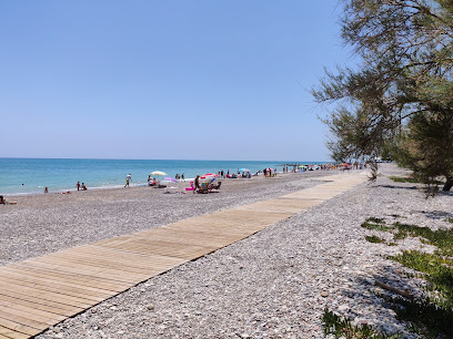 Playa Moncofa [2025]