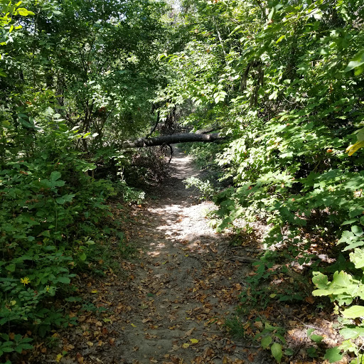 Sunbridge Hills Conservation Area