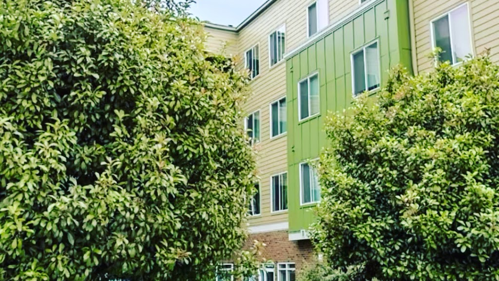 the waXYing lounge - Renton, WA 98057 - Services and Reviews