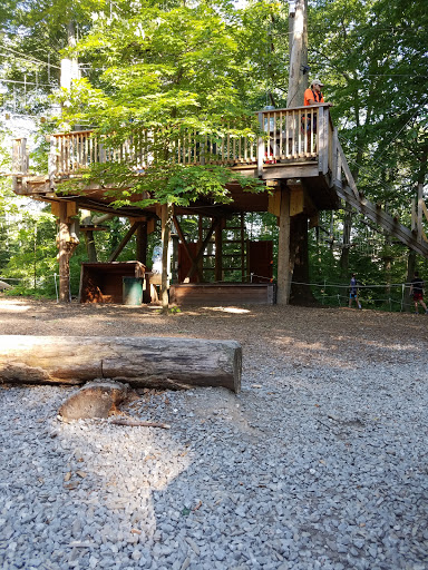 Amusement Park «The Adventure Park at the Discovery Museum», reviews ...