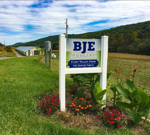 BJE Poultry - AZexplained