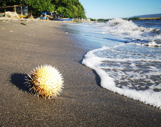 Cagayan de Oro 🏖️ all 46 beaches around 199km (Philippines, Northern ...
