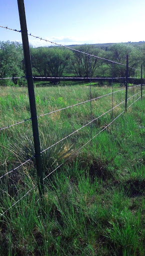 Stockyards Ranch Supply - AZexplained