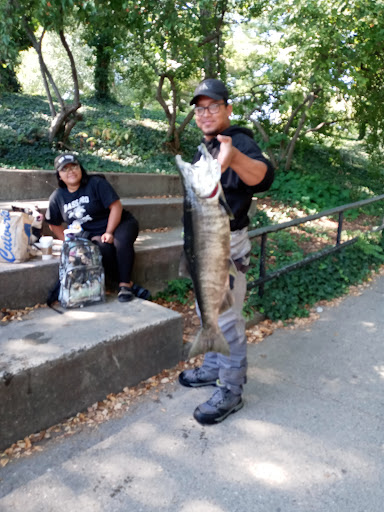 Fish Ladder Park in West Grand, Grand Rapids, Michigan - Zaubee