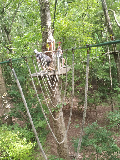 Recreation Center «Go Ape Zip Line & Treetop Adventure - Blue Jay Point ...