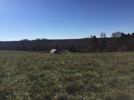 Brookview Farm - AZexplained