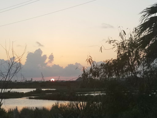 Shopping Mall «Galvez Shopping Center», reviews and photos, 6228 ...