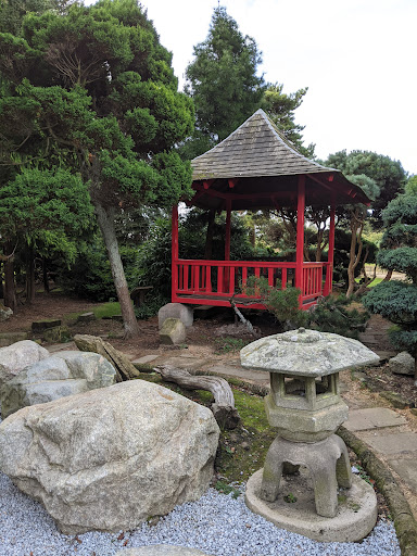 Walkers Nurseries & Garden Centre in Blaxton, Doncaster, - Zaubee