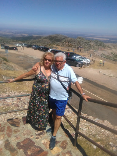 Racecourse «Ebro Greyhound Park», reviews and photos, 6558 Dog Track ...