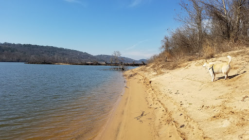 Burns Park - AZexplained