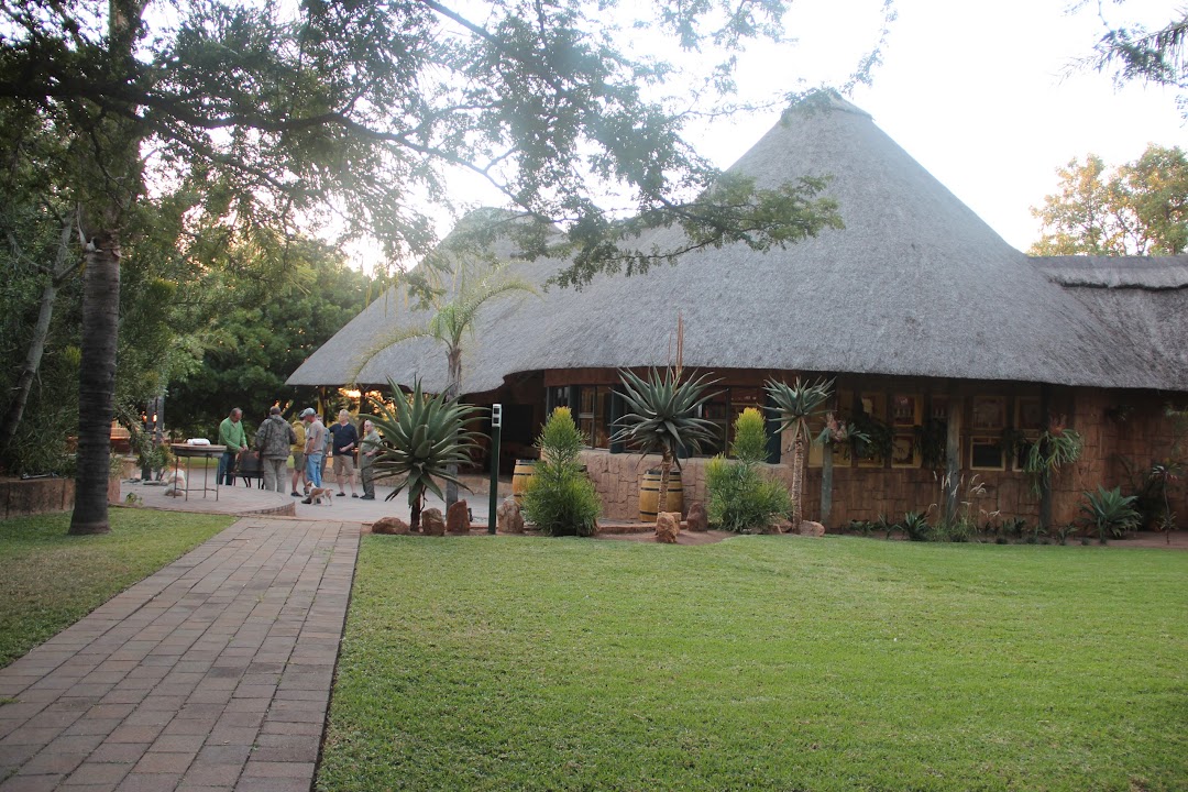 Inyoni Crocodile Farm in the city Brits