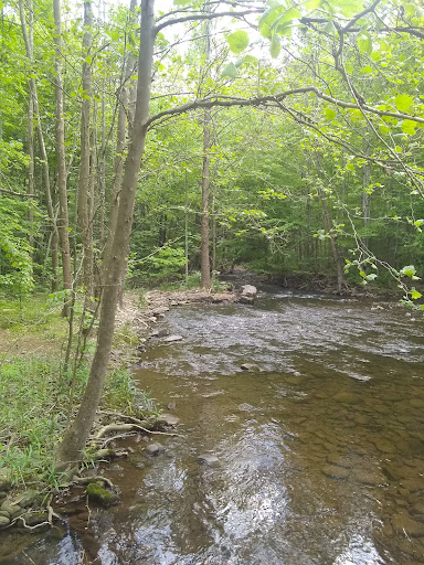 Hone Quarry Campground - Dayton, Virginia - Zaubee