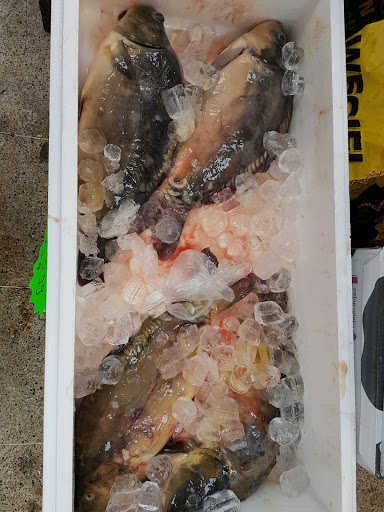 Alma Supermarket - Locations from All Over the World