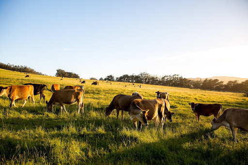 Spring Hill Estate - Wedding, Retreat, Meeting, Party, Event Venues in ...