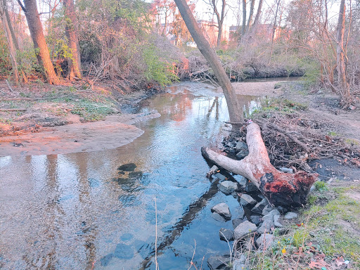 State Park «Valley Stream State Park», reviews and photos, Valley ...