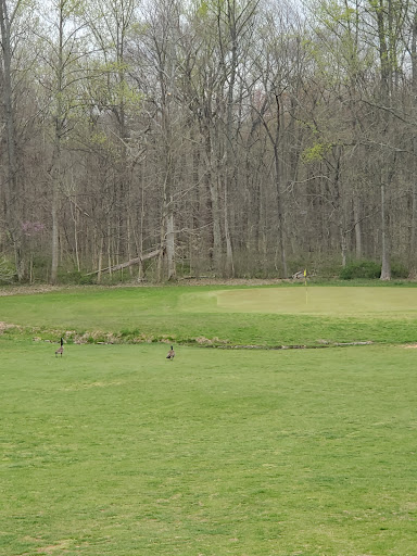 Golf Club «Maple Run Golf», reviews and photos, 13610 Moser Rd # A ...