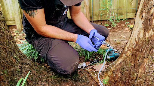 The Tree Doctor - Tree Health Services