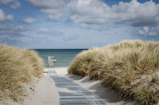 Saltum 🏖️ all 37 beaches around 15km (Denmark, North Denmark Region)