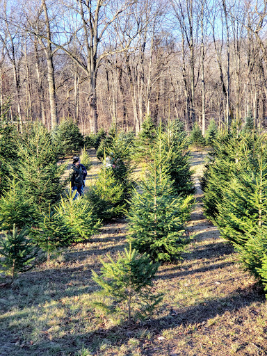 Homestead Tree Farm - AZexplained