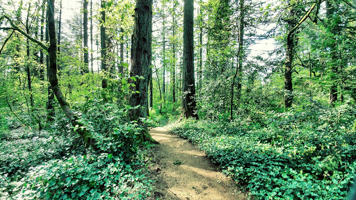 American Football Field «Doc Harris Stadium», reviews and photos, 1125 ...