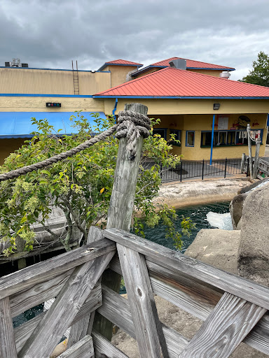 Amusement Park «Adventure Landing Raleigh», reviews and photos, 3311 ...