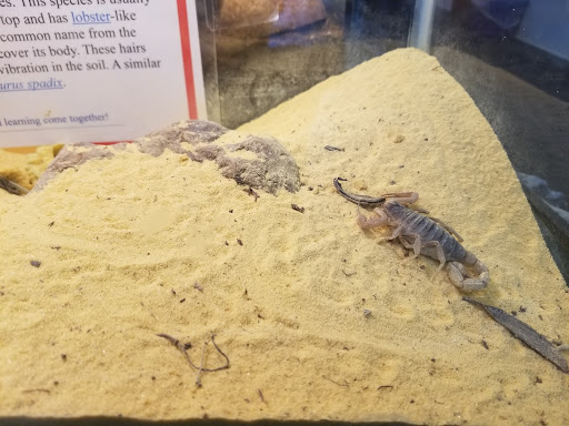 Museum «Philadelphia Insectarium and Butterfly Pavilion», reviews and ...