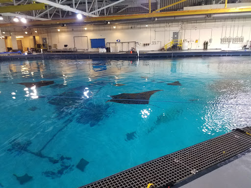 Tourist Attraction «Pemberton Place», reviews and photos, 126 Ivan ...