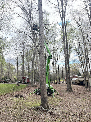 Tree Service Greenville, SC | Free Estimates | Integrity Tree