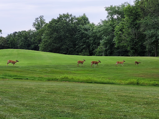 Golf Course «Pohick Bay Golf Course», reviews and photos, 10301 Gunston ...