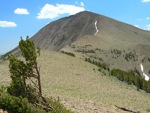 Arc Dome Wilderness - AZexplained