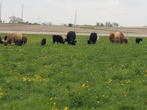 R Grassfed Beef - Family Farm near Hampton, IA