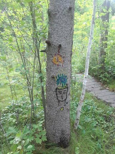 Park «Quaking Bog», reviews and photos, Theodore Wirth Pkwy ...