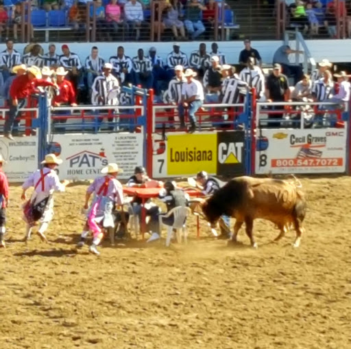 Angola Prison Rodeo & Arts