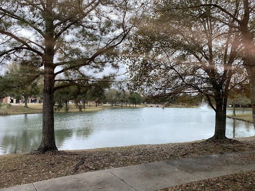 Fort Bend County Libraries - Cinco Ranch Branch in Katy, Texas - Zaubee