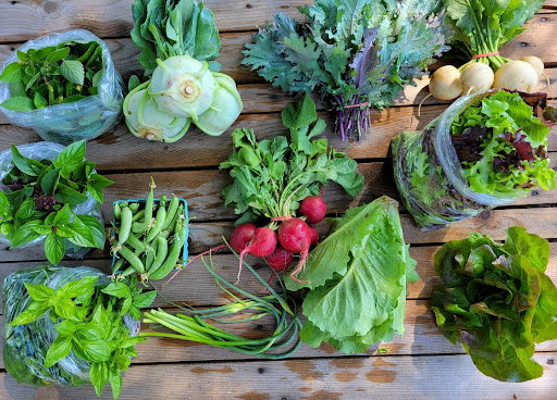 Ramblin Sol Farm - AZexplained