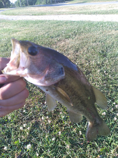 Park «Craig Park», reviews and photos, 2013 W County Rd 950 N, Brazil ...