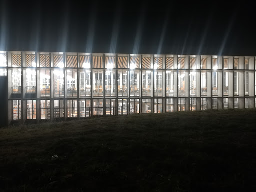 Domasi College Of Education